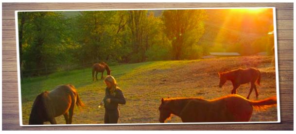 Approccio e gestione naturale del Cavallo, l'Horsemanship al Red Rose ...