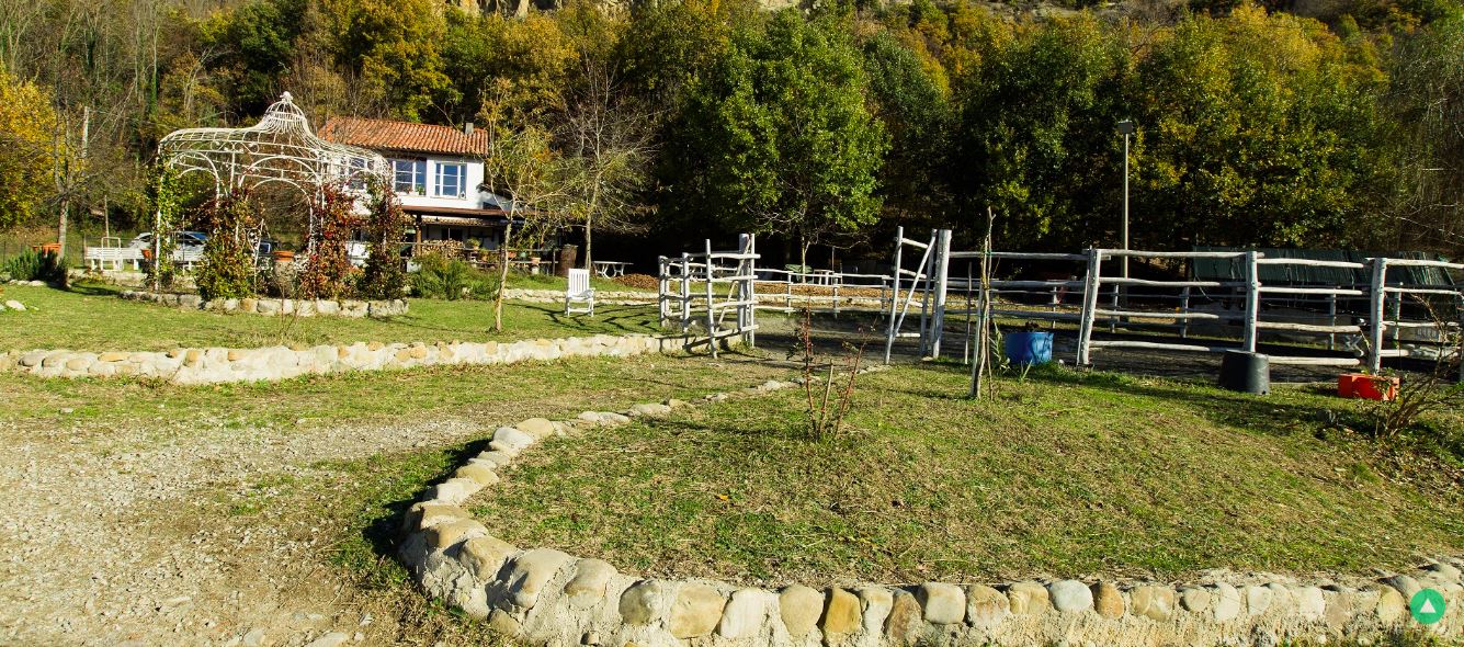 Approccio e gestione naturale del Cavallo, l'Horsemanship al Red Rose ...