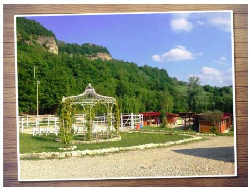 Approccio e gestione naturale del Cavallo, l'Horsemanship al Red Rose ...